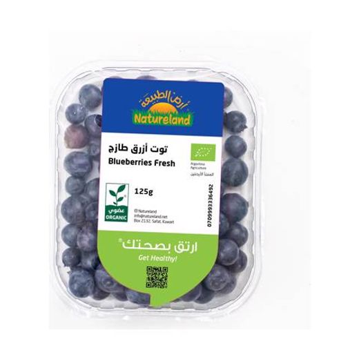 Natureland Blueberries Punnet 125Gm – HSquare Healthy Supermarket