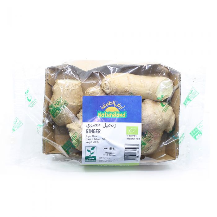 Natureland Ginger 200Gm – HSquare Healthy Supermarket
